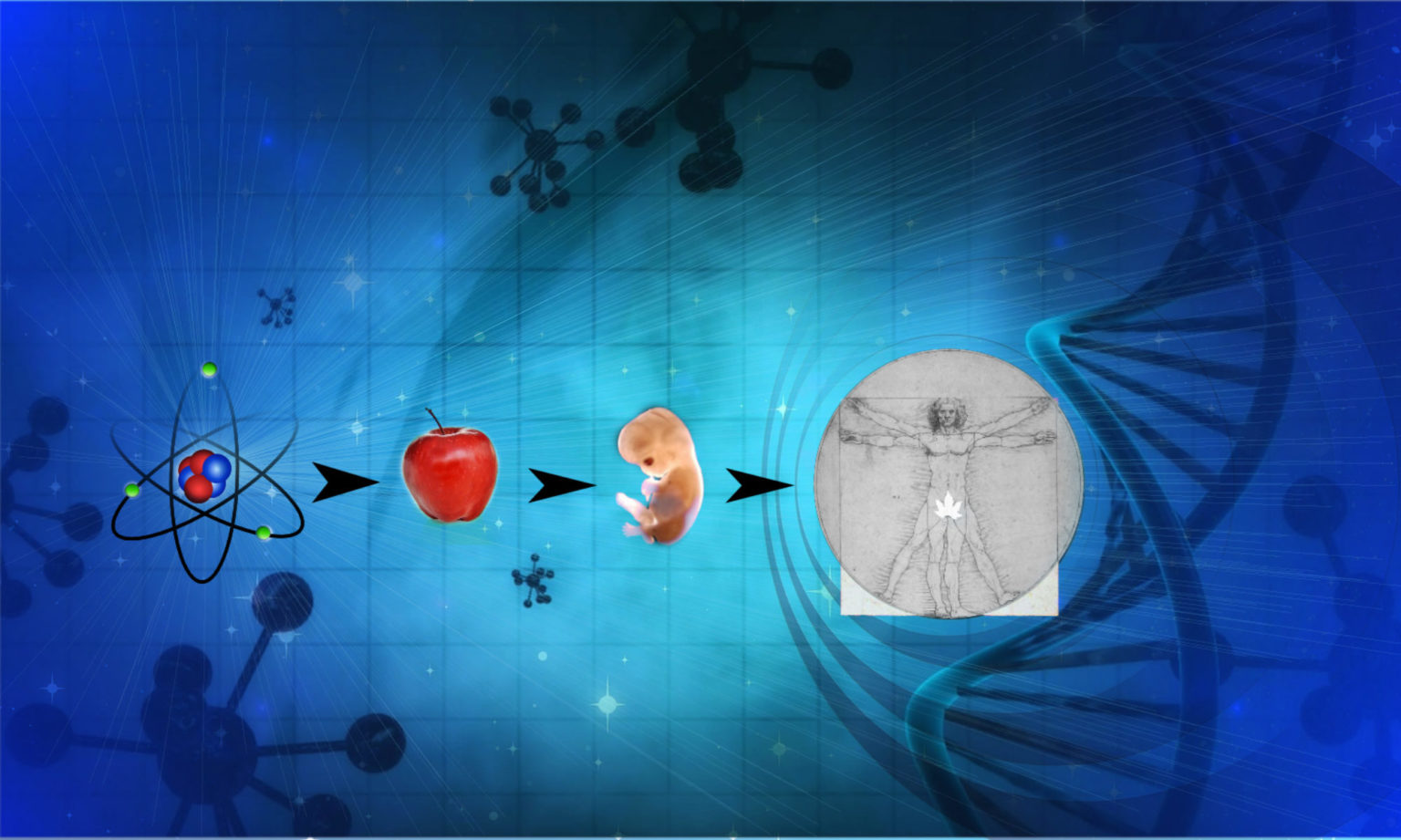 Atomic Biology - Revealing the True Origin and Cause of Life - The ...